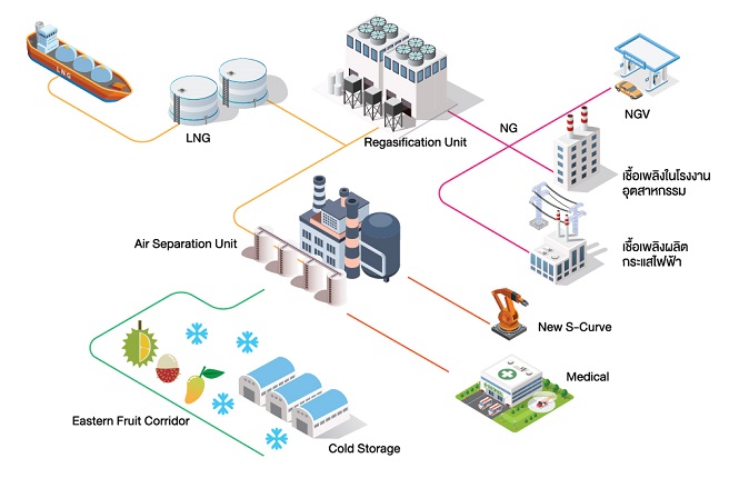 Liquefied Natural Gas's Cold Energy Usage in Air Separation Unit